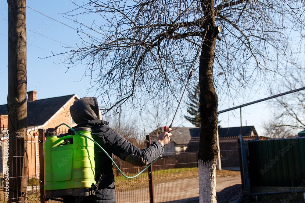 Spray pesticides, pesticide on fruit tree. Defocus farmer man spraying ...