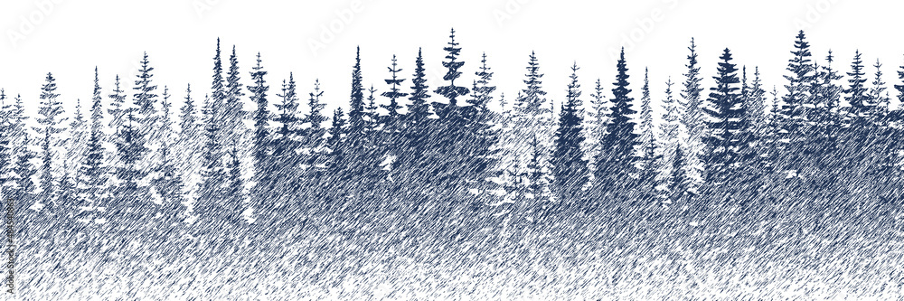 Vector sketch, banner. Forest, imitation of a pencil drawing. Stock ...