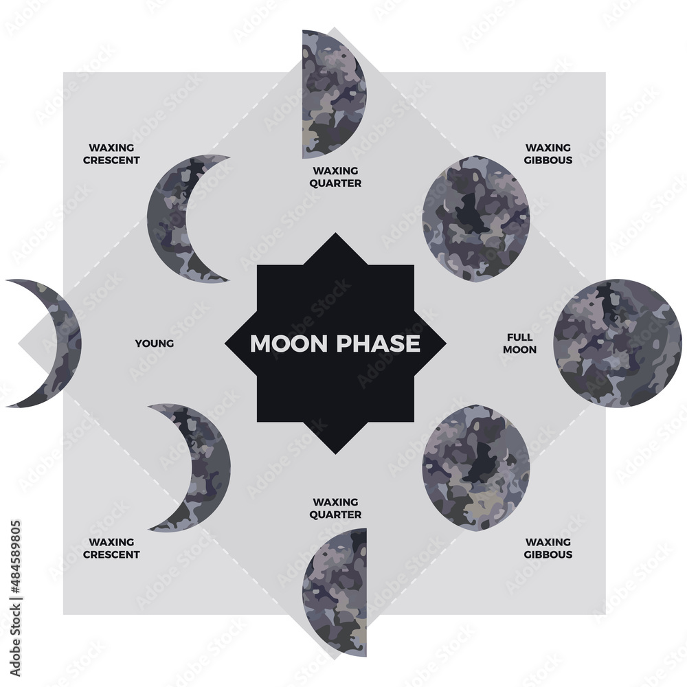 Moon phase. Textured surface of the moon. Lunar phases throughout the ...