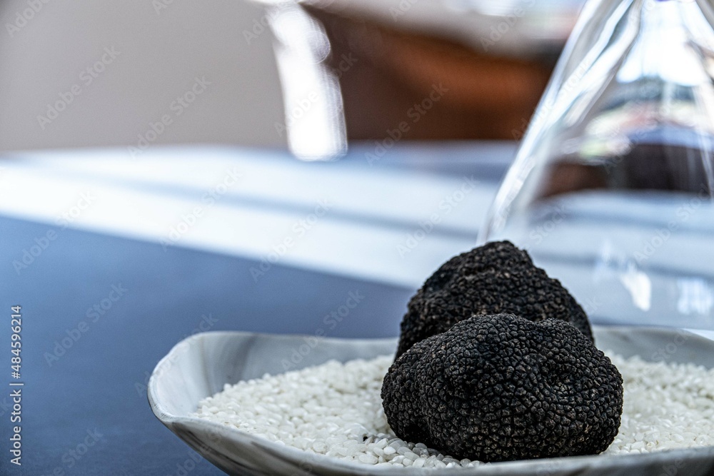 Poster Truffe noire Tuber melanosporum Périgord – Wall Art | UkPosters
