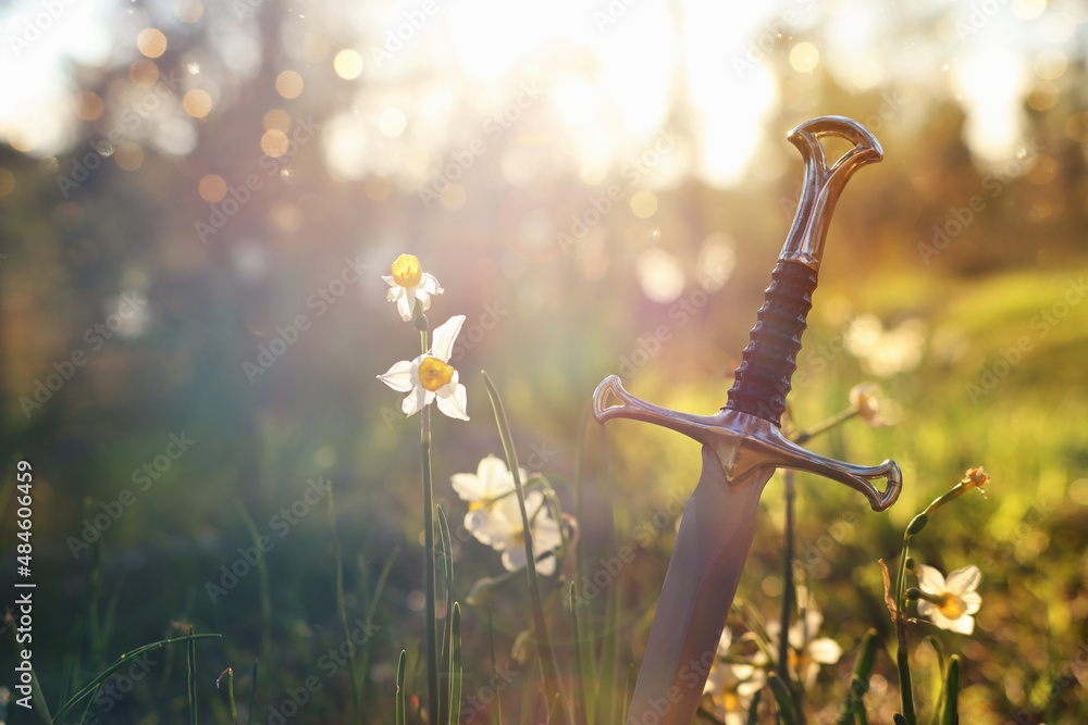 mysterious and magical photo of silver sword in the England woods and ...