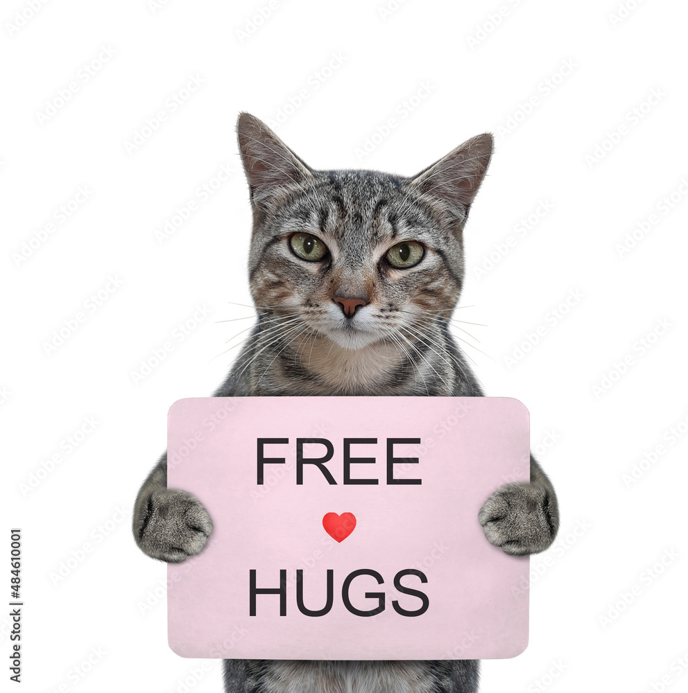 I Need Hugs Cat