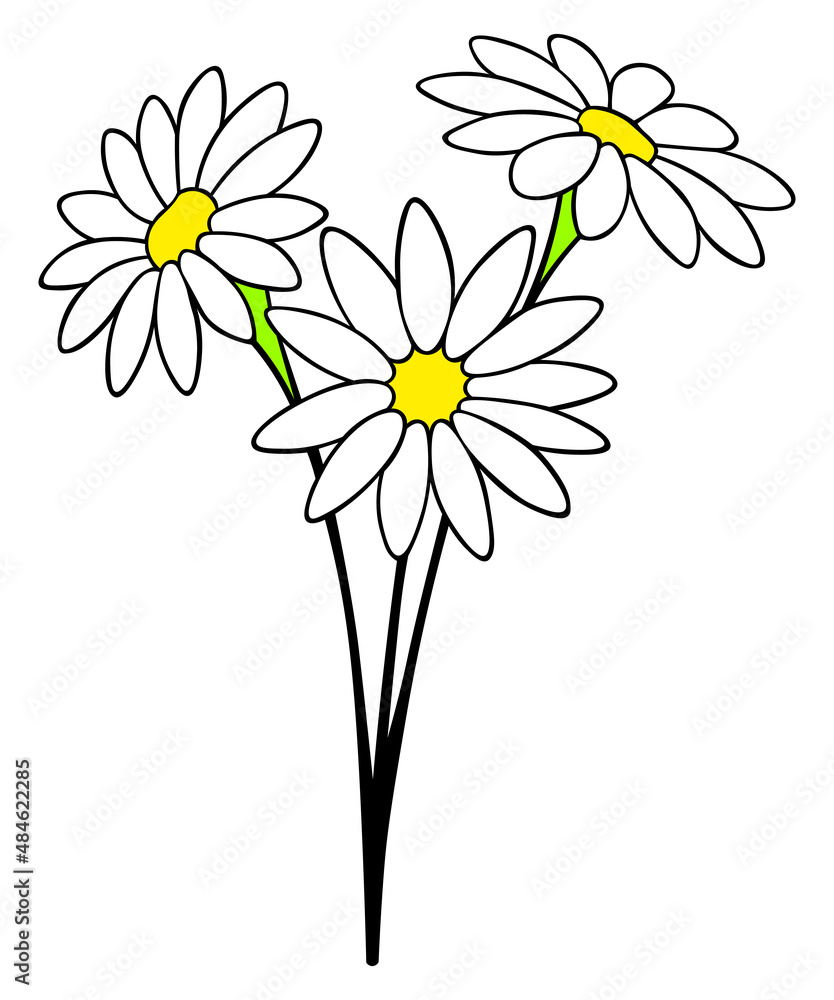 Daisy flower on stem bouquet cartoon isolated illustration Stock Vector ...