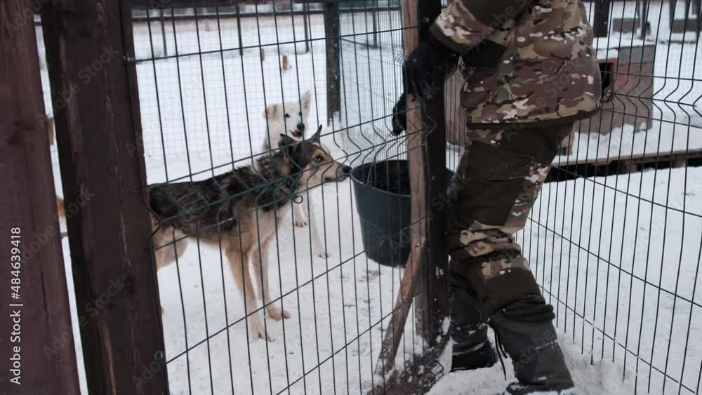 4K footage slow motion. Male worker with bucket full of red meat enters ...