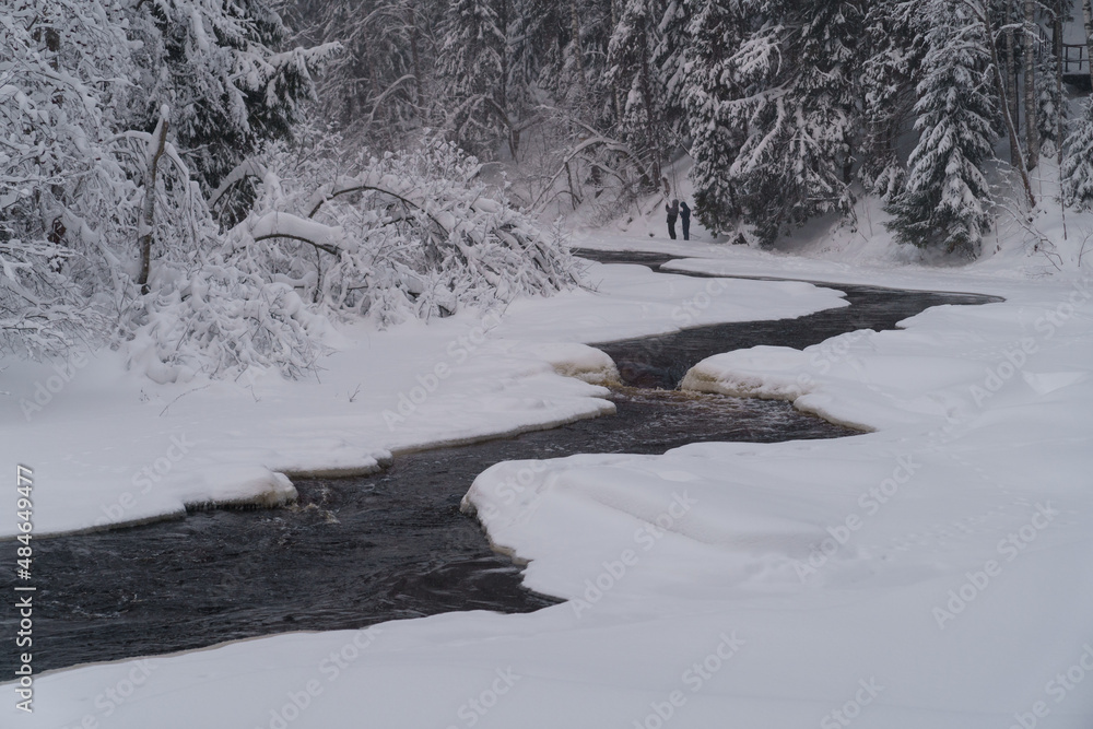 Snowy Swedish Forest