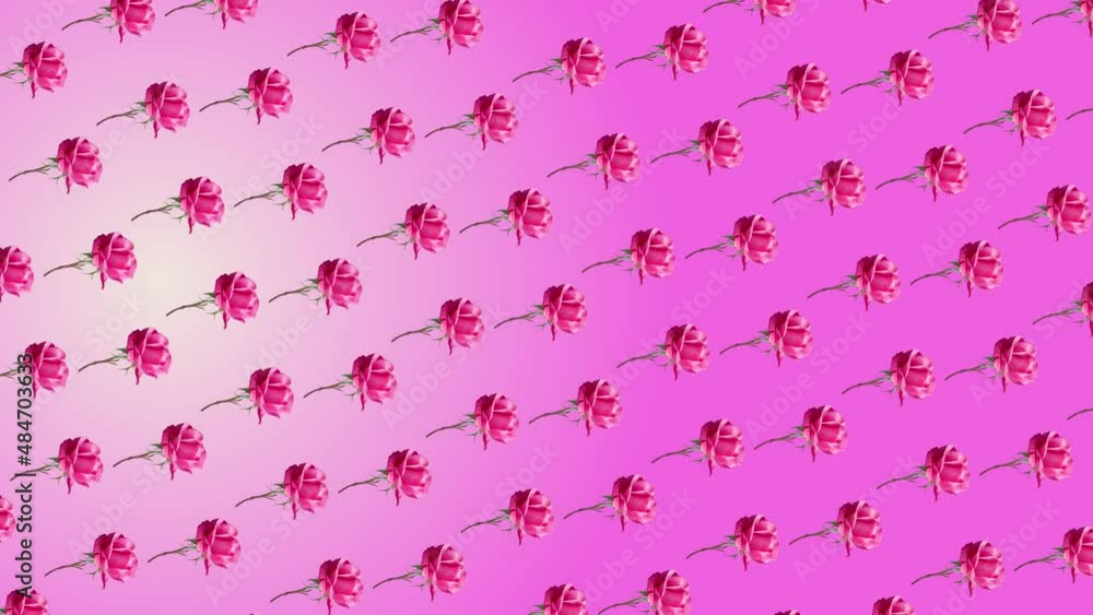 Professional motion design 4K animated pattern with many fresh pink ...