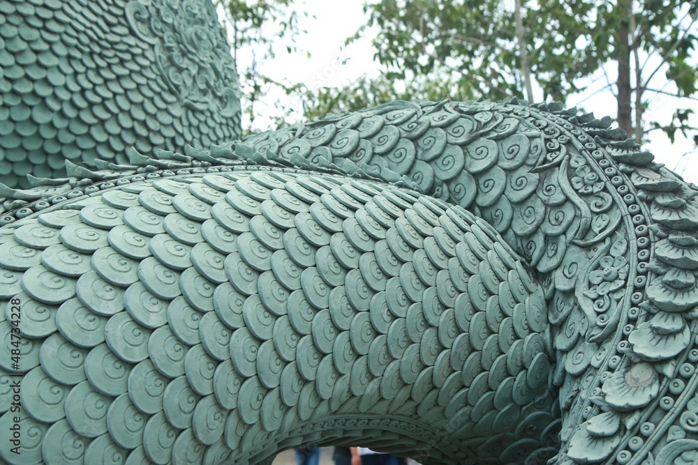 The body of the serpent background,The serpent of the serpent of the ...