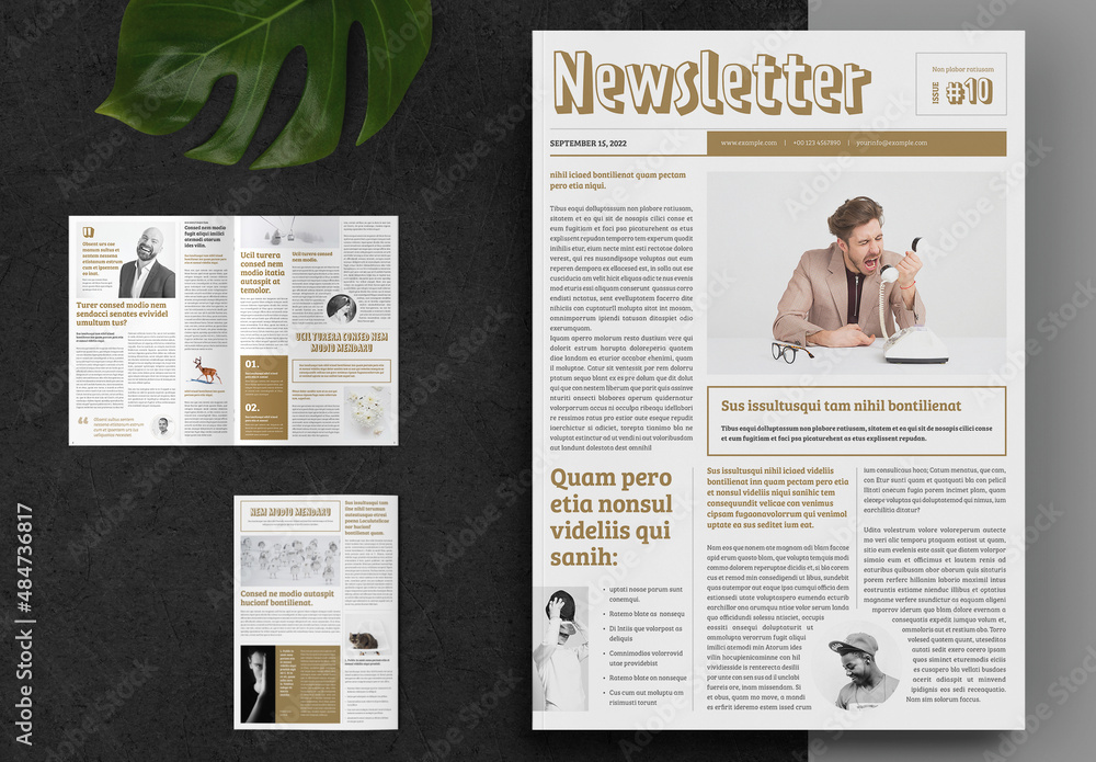 Newsletter Layout with Golden Accents Stock Template | Adobe Stock