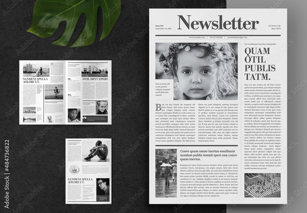 Newsletter Layout with Gray Accents Stock Template | Adobe Stock