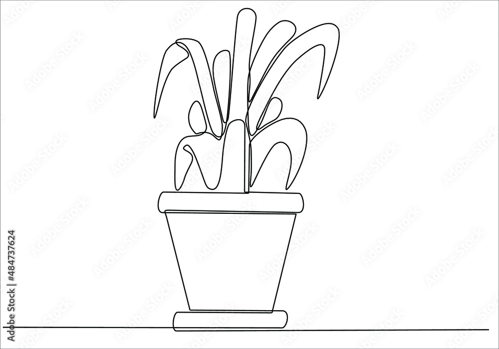 Continuous one line drawing. House plant in pot. Vector illustration ... Continuous one line drawing. House plant in pot. Vector illustration ...