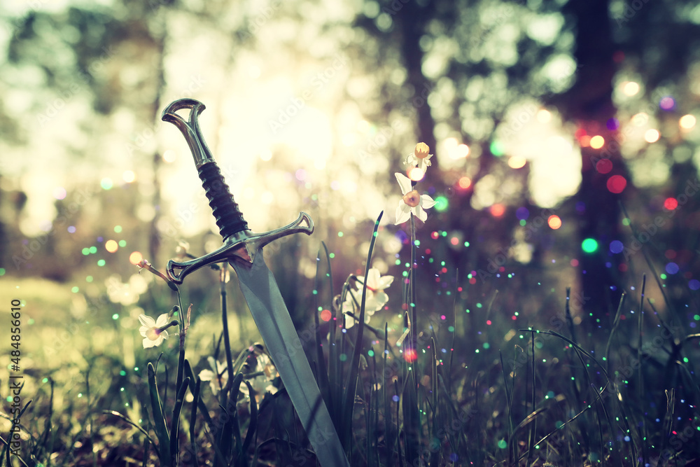 mysterious and magical photo of silver sword in the England woods and ...