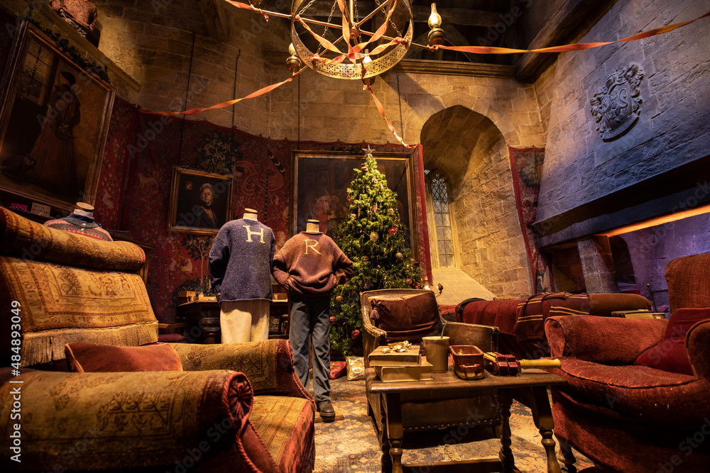 Harry Potter Gryffindor Common Room