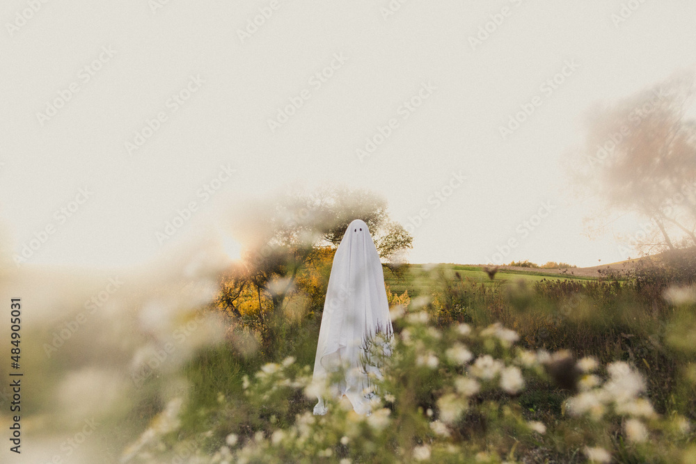 Ghost woman standing in field at sunset Stock Photo | Adobe Stock
