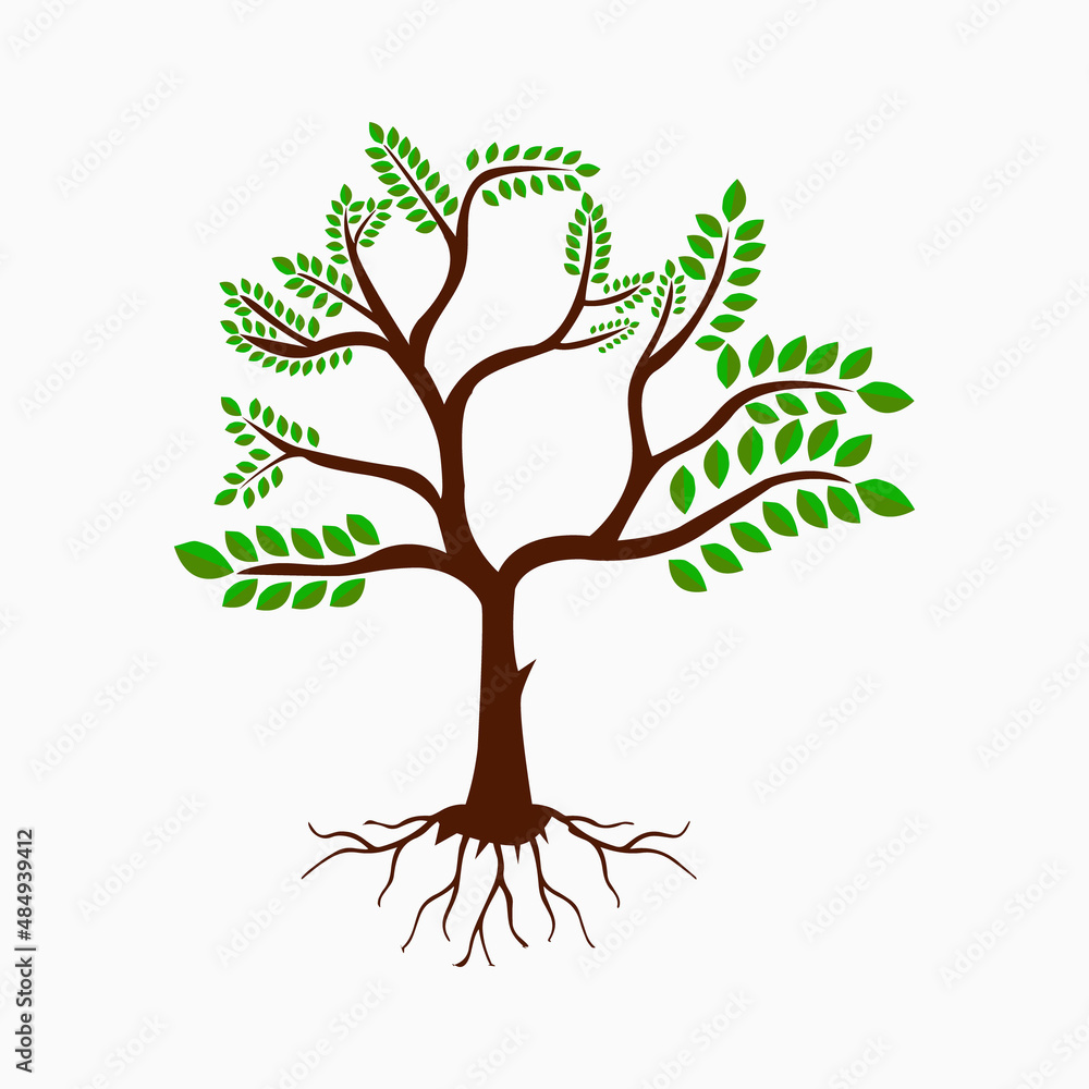 tree with roots , spring , plant , illustration , art , design ...