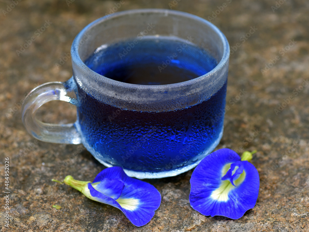Chilled Herbal tea. Decoction made by boiling blue flowers of ...
