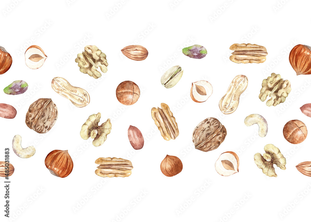 Seamless border of watercolor nuts Stock Illustration | Adobe Stock