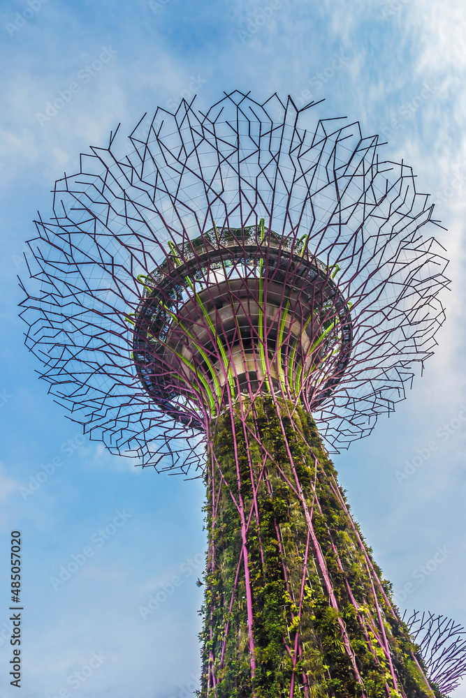 Supertree at Gardens By The Bay, Singapore Stock Photo | Adobe Stock