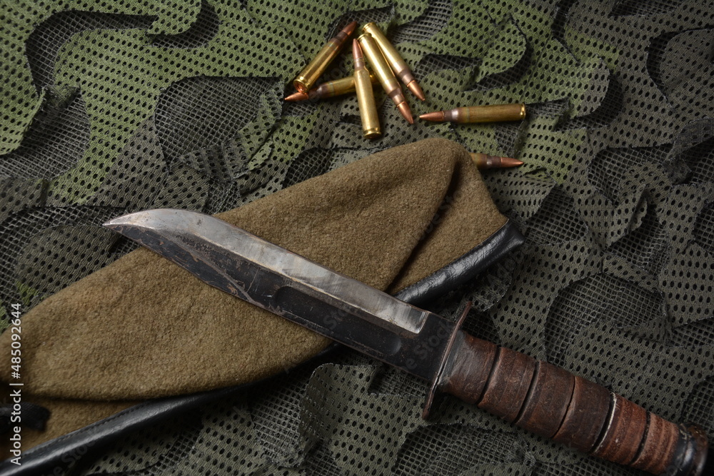 Combat tactical stainless steel fighting knife, leather handle ...