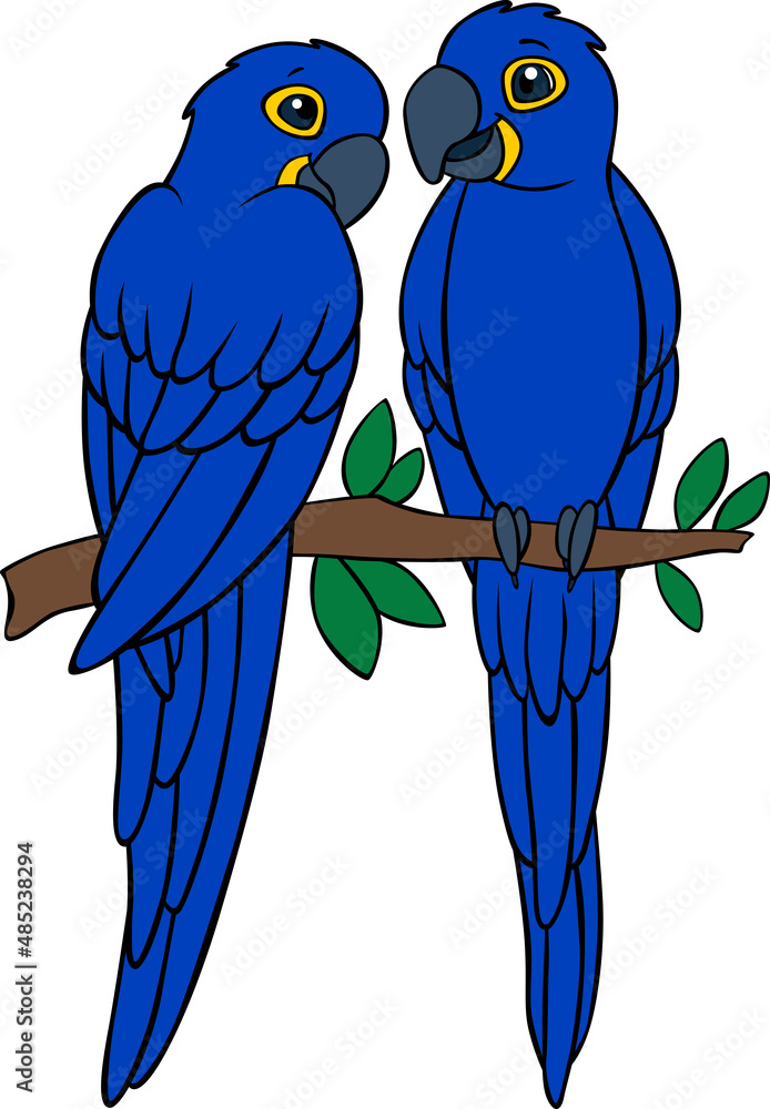 Cartoon birds. Two cute parrots blue macaw sit on the tree branch ...