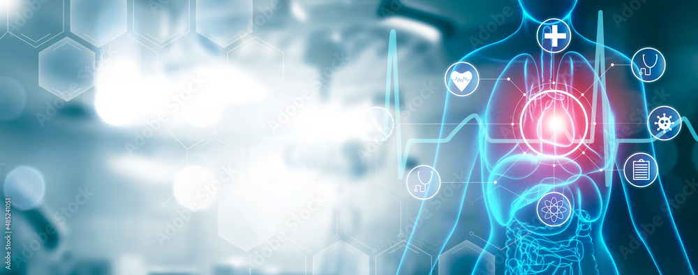 Medical healthcare digital hologram anatomy of female heart and organs ...