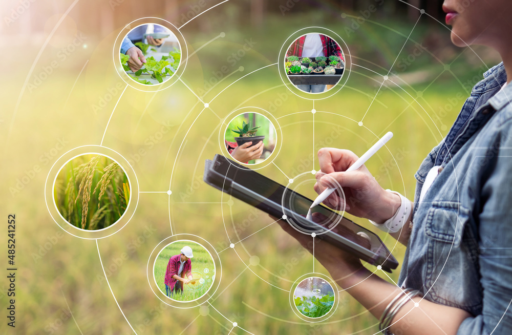 Various photos of Agriculture farmers using tablet device technology ...