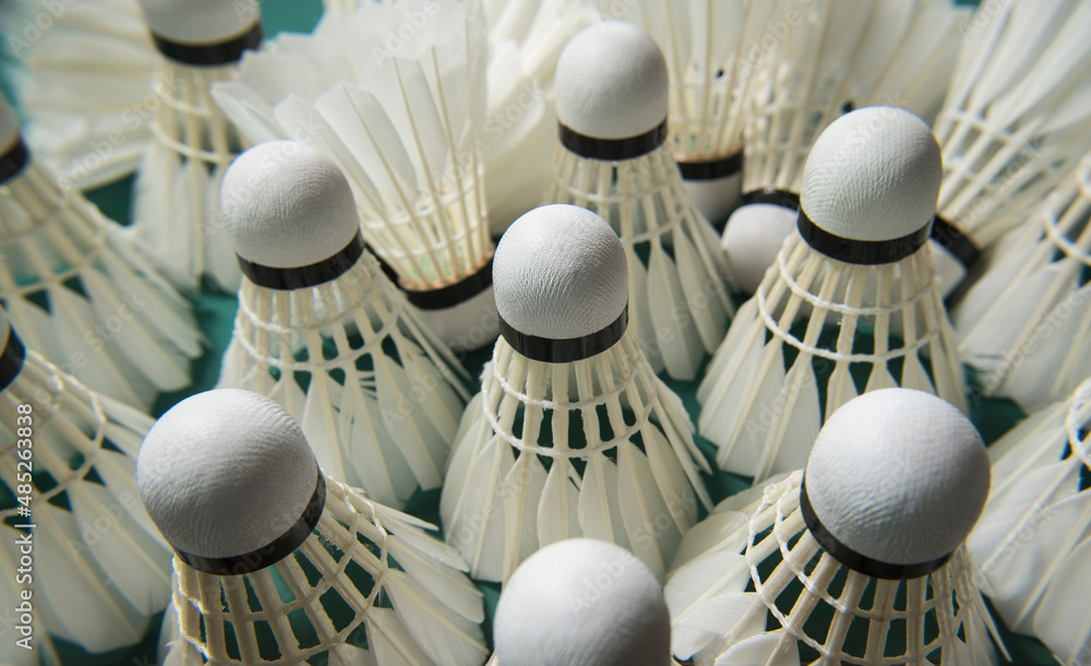 shuttlecocks on court floor Stock Photo | Adobe Stock