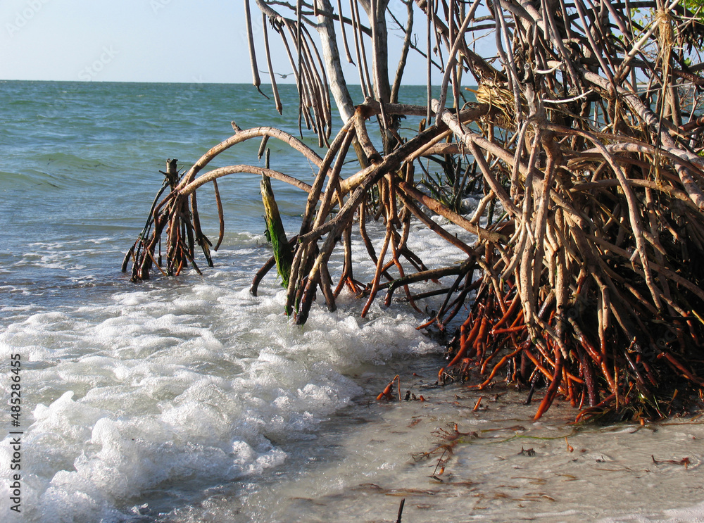 Gulf of Mexico, Florida Keys, Old Flagler Railroad, Bridges, Florida ...