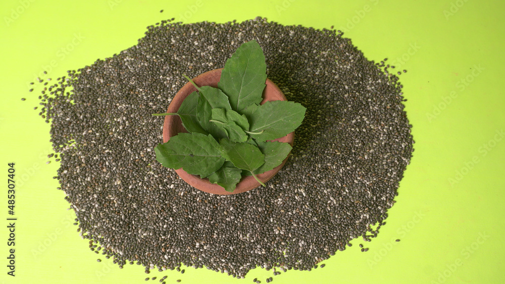Holy basil, tulasi or tulsi, is an aromatic perennial plant in the ...