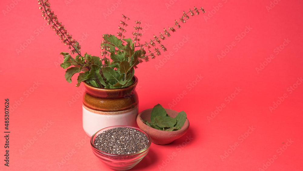 Holy basil, tulasi or tulsi, is an aromatic perennial plant in the ...