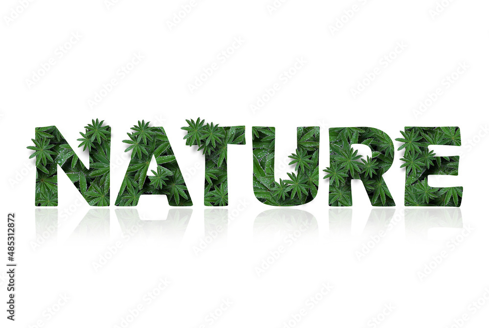 The English word is nature, stylized as a collage of photos of lupin ...