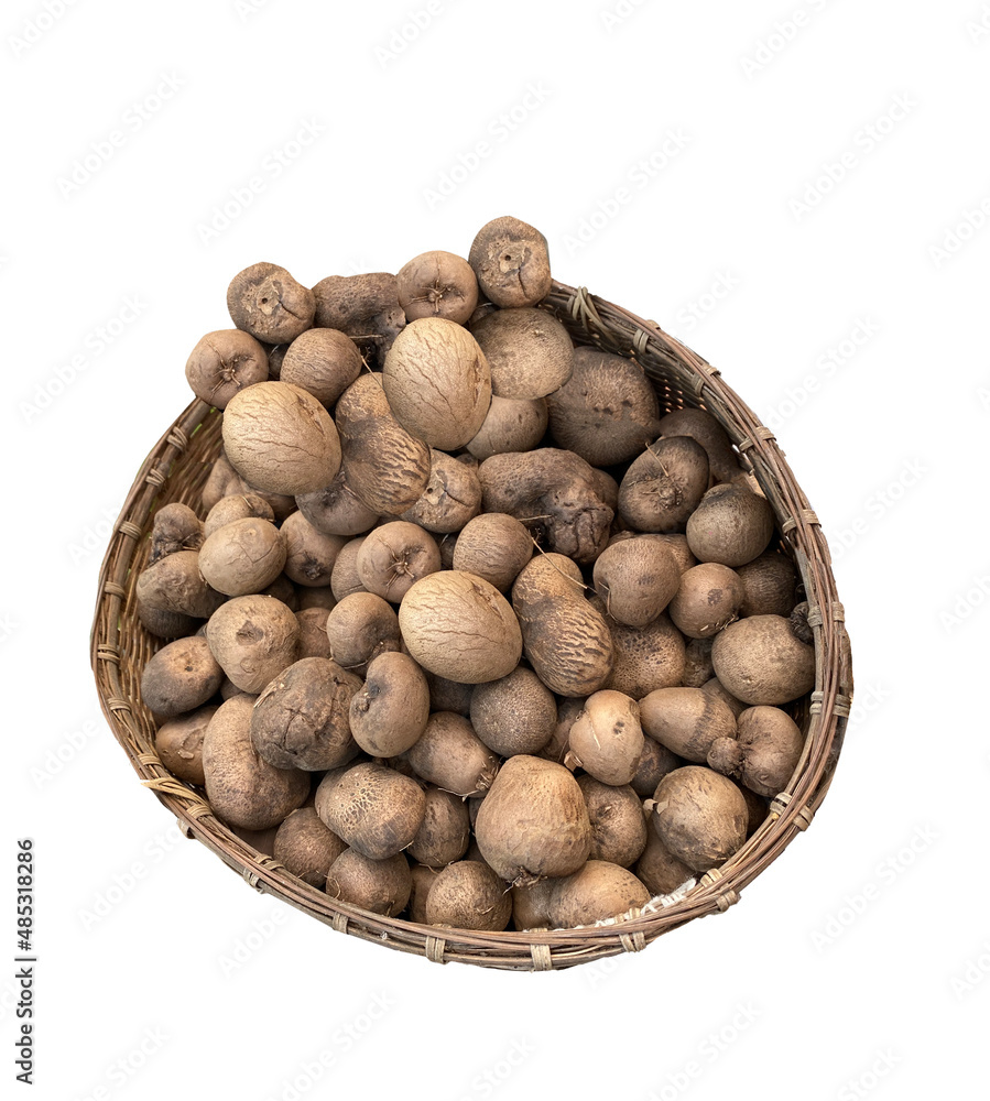 Aerial Yam (scientific name is Dioscorea bulbifera), air potato air yam ...