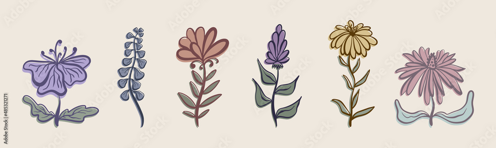 Vector illustration of flowers in cartoon style. Beautiful botanical ...