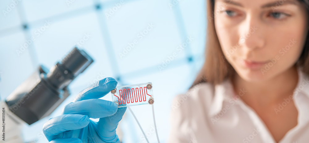 Woman in the laboratory holds in her hand lab on chip device ...