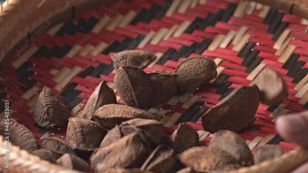 Vidéo Stock Brazil nuts harvested from the Amazon rainforest on organic ...