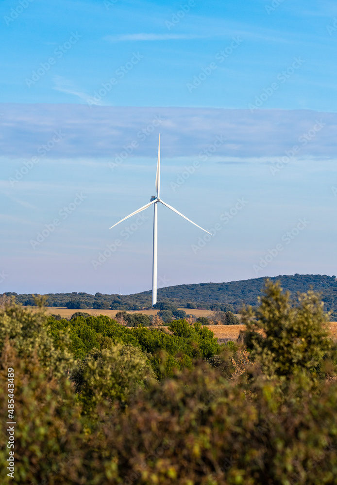 Wind turbines. Energy farm. Wind turbines in farm fields. Countryside ...