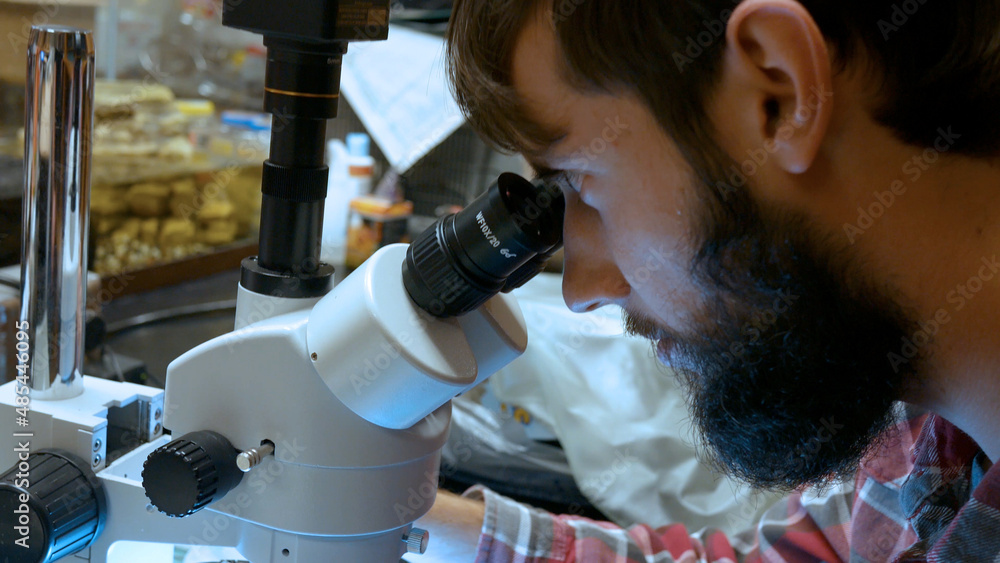 Biologist adjusts microscope to look at preserved specimen in ...