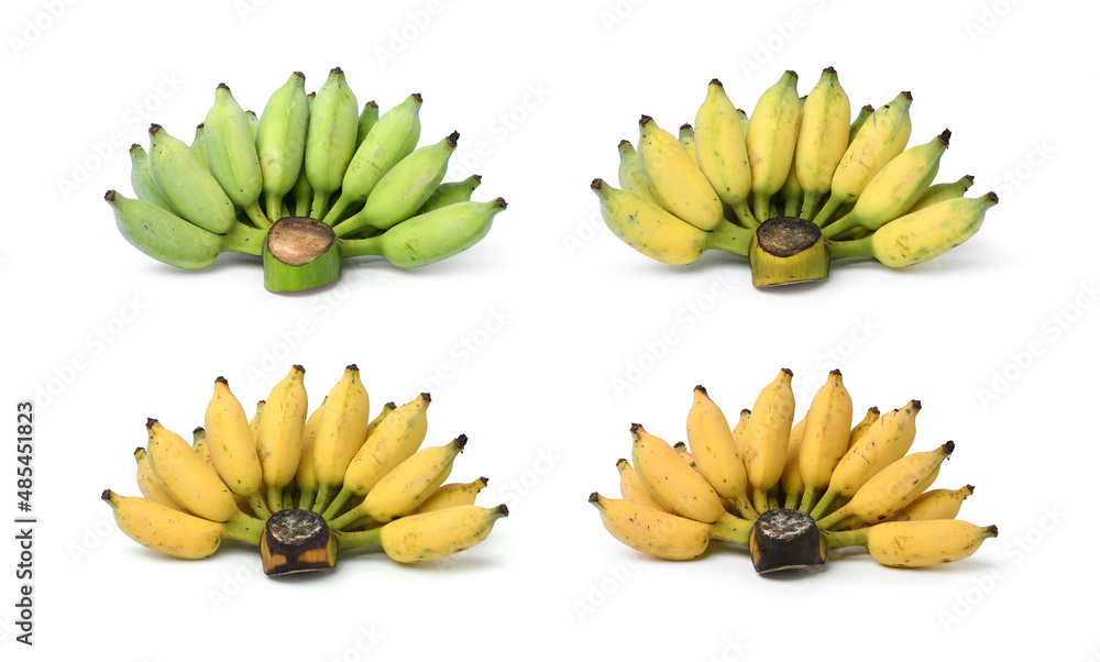 Poster Different stages of the banana ripening process – Wall Art ...
