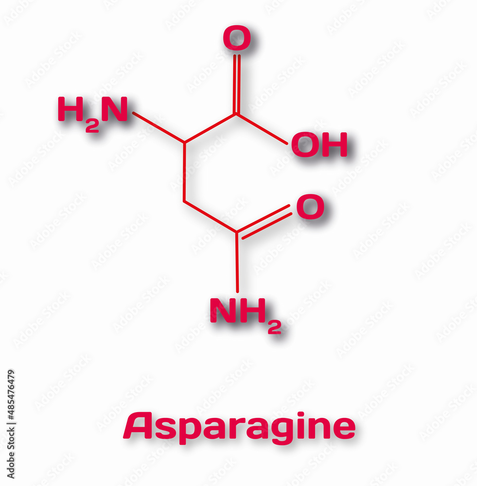 Amino acid formulas Amino acids chemistry Amino acids Amino acid-based ...