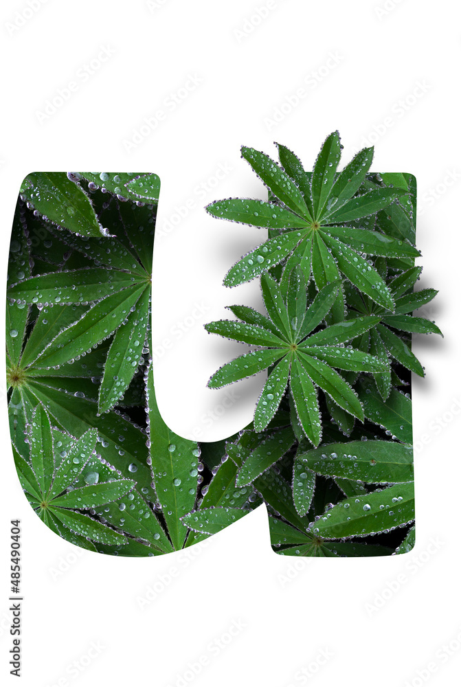 English uppercase small letter of the alphabet u, highlighted on a ...