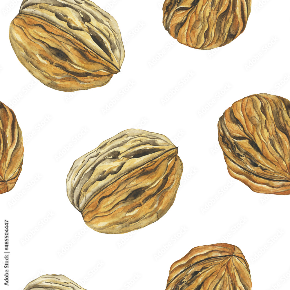 Watercolor walnut seed seamless pattern on white background. Hand ...
