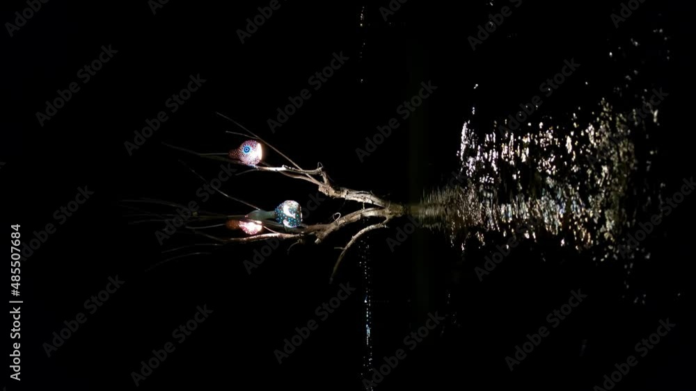 Landscape of dead tree standing in a sea with hanging traditional ...