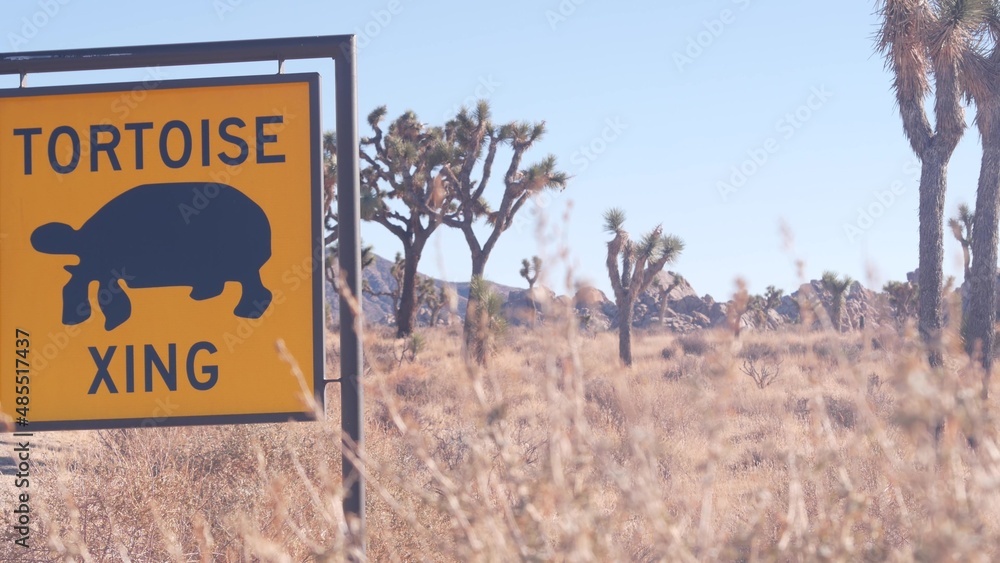 Tortoise or turtle crossing warning yellow road sign, California USA ...