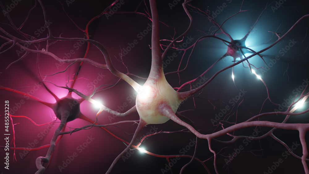 Neuron cluster signal transfer inside human brain Stock Illustration ...