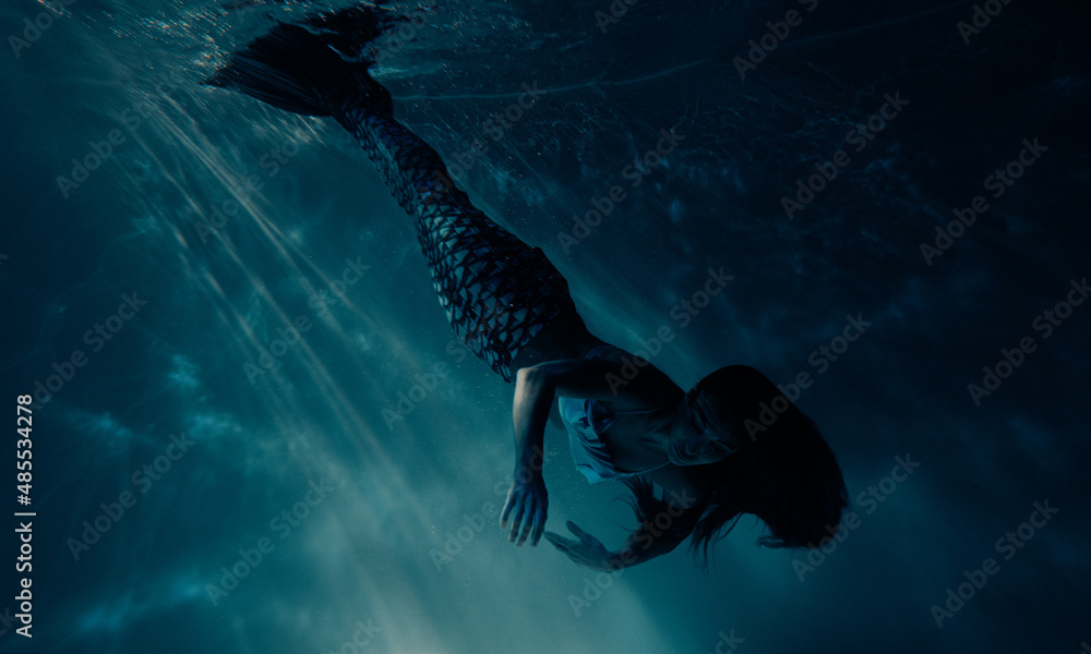 Woman with mermaid tail swims and dives underwater. Stock Photo | Adobe ...