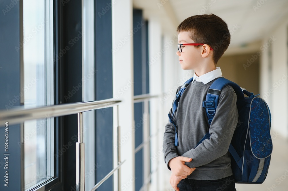 Schoolboy with schoolbag and books in the school. Education concept ...