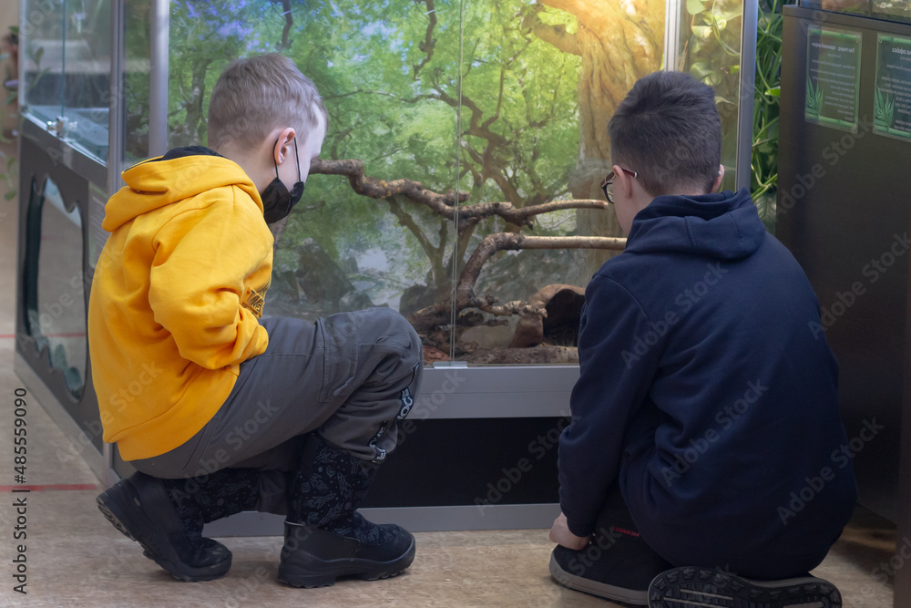 Children study nature in a museum, an exotarium with exotic wild ...