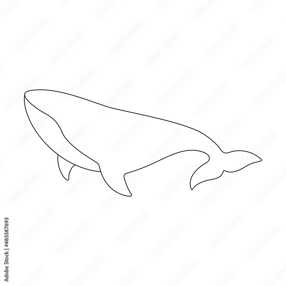 Whale line drawing art. Sperm whale linear animal. Vector isolated on ...