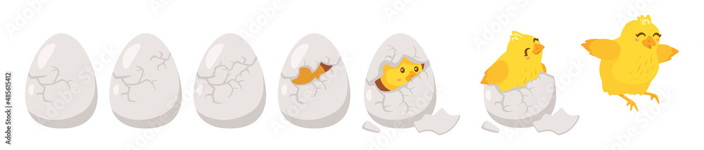 Hatching process. Vector illustration isolated on white Stock Vector ...