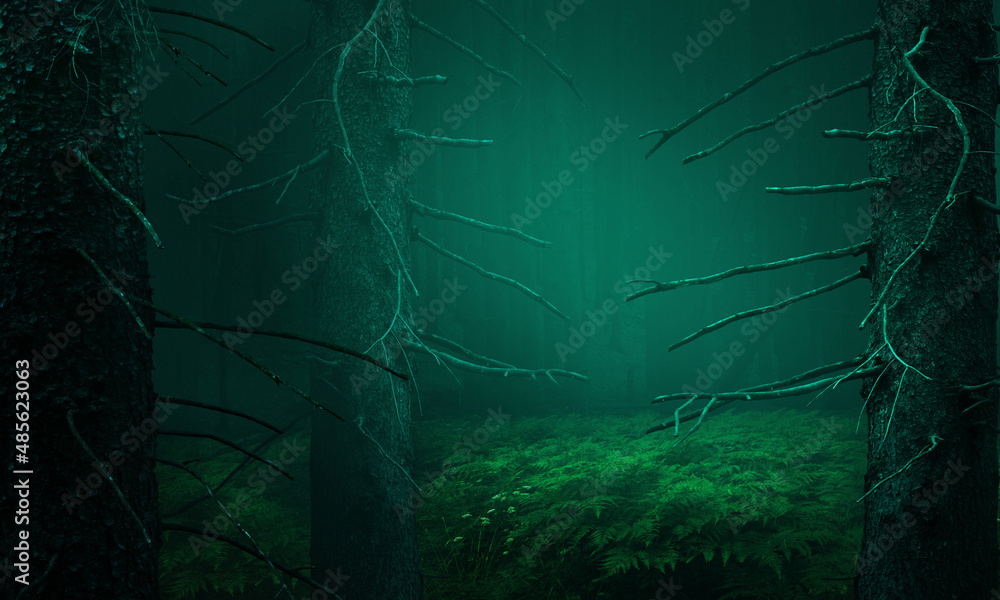 Misty forest landscape. Dark woods with old trees and branches ...