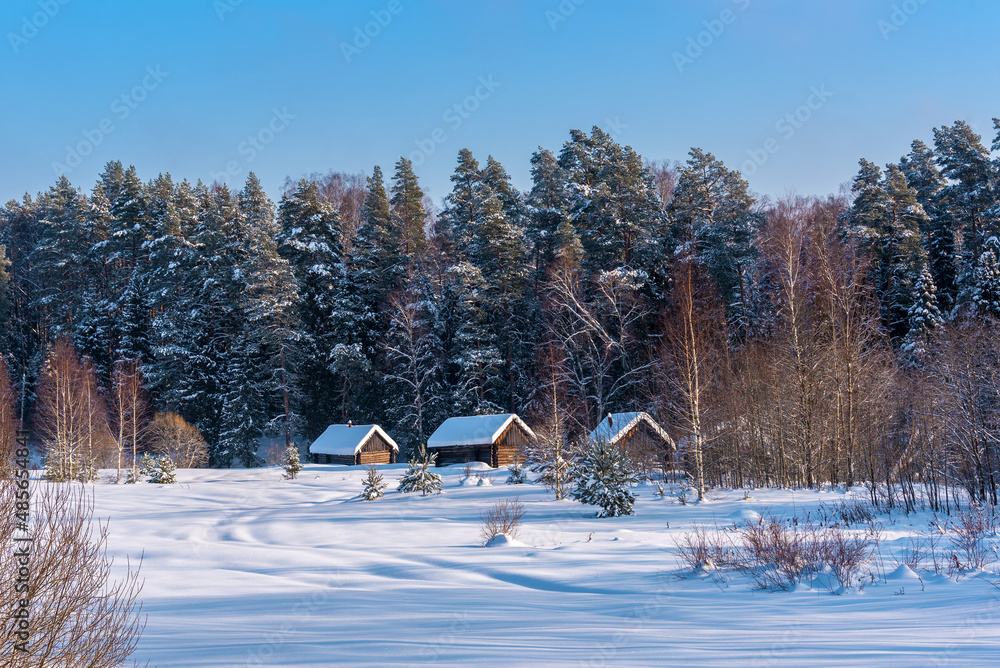 Rural landscape with village huts covered with white snow in winter ...